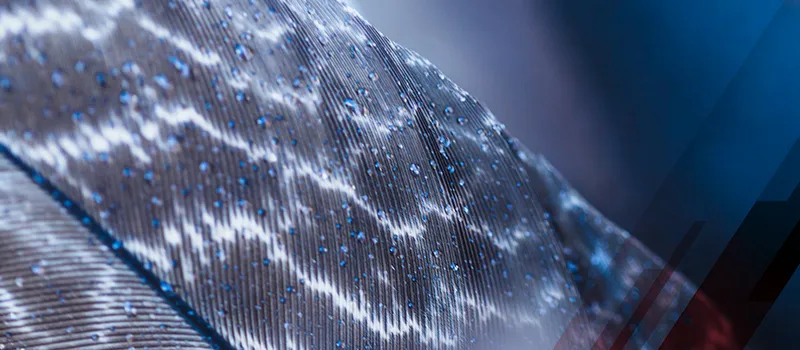 Technical Textile: The Future of Fabrics